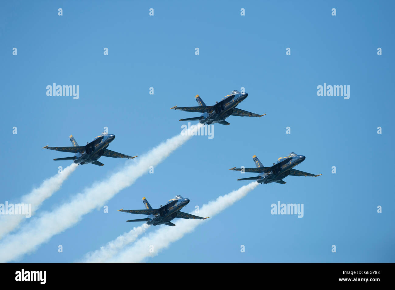 Hornets team hi-res stock photography and images - Alamy