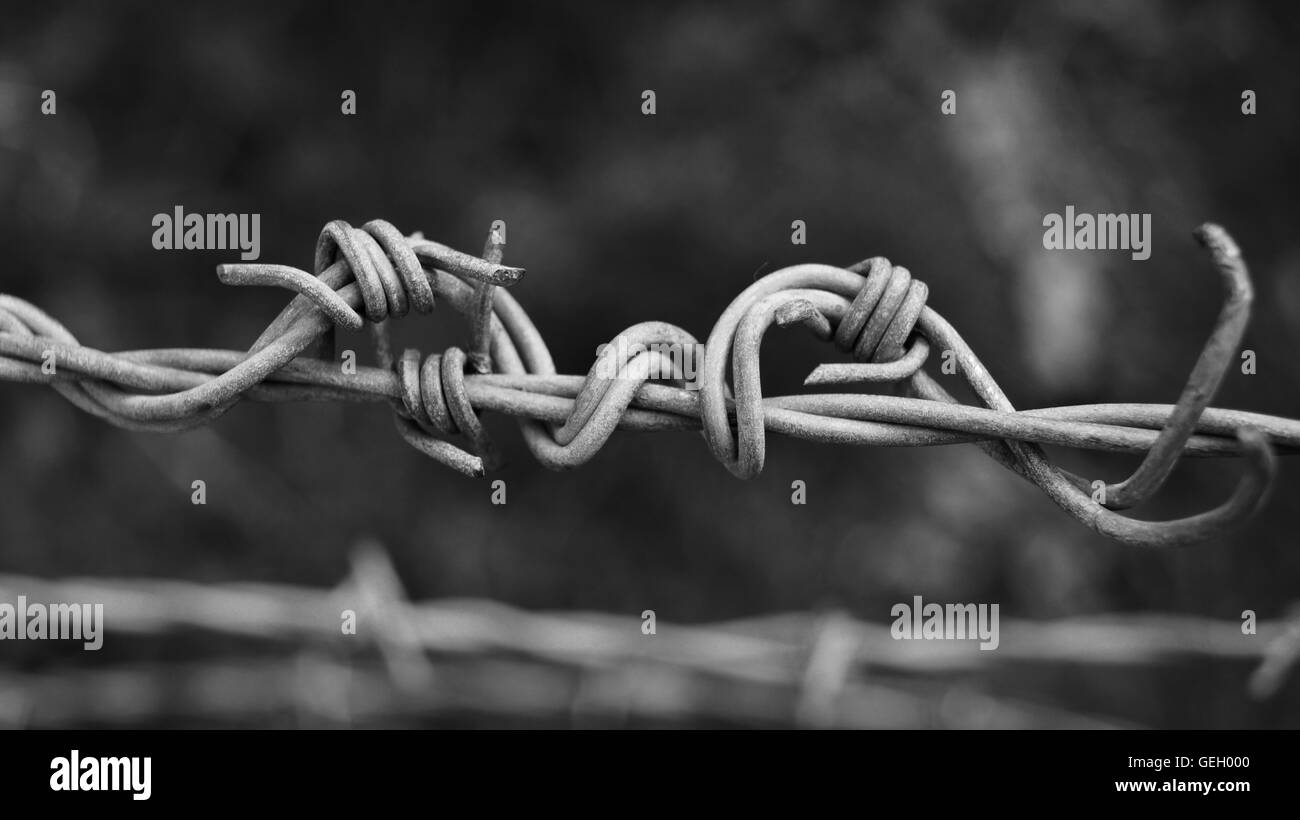 Field fortifications Black and White Stock Photos & Images - Alamy