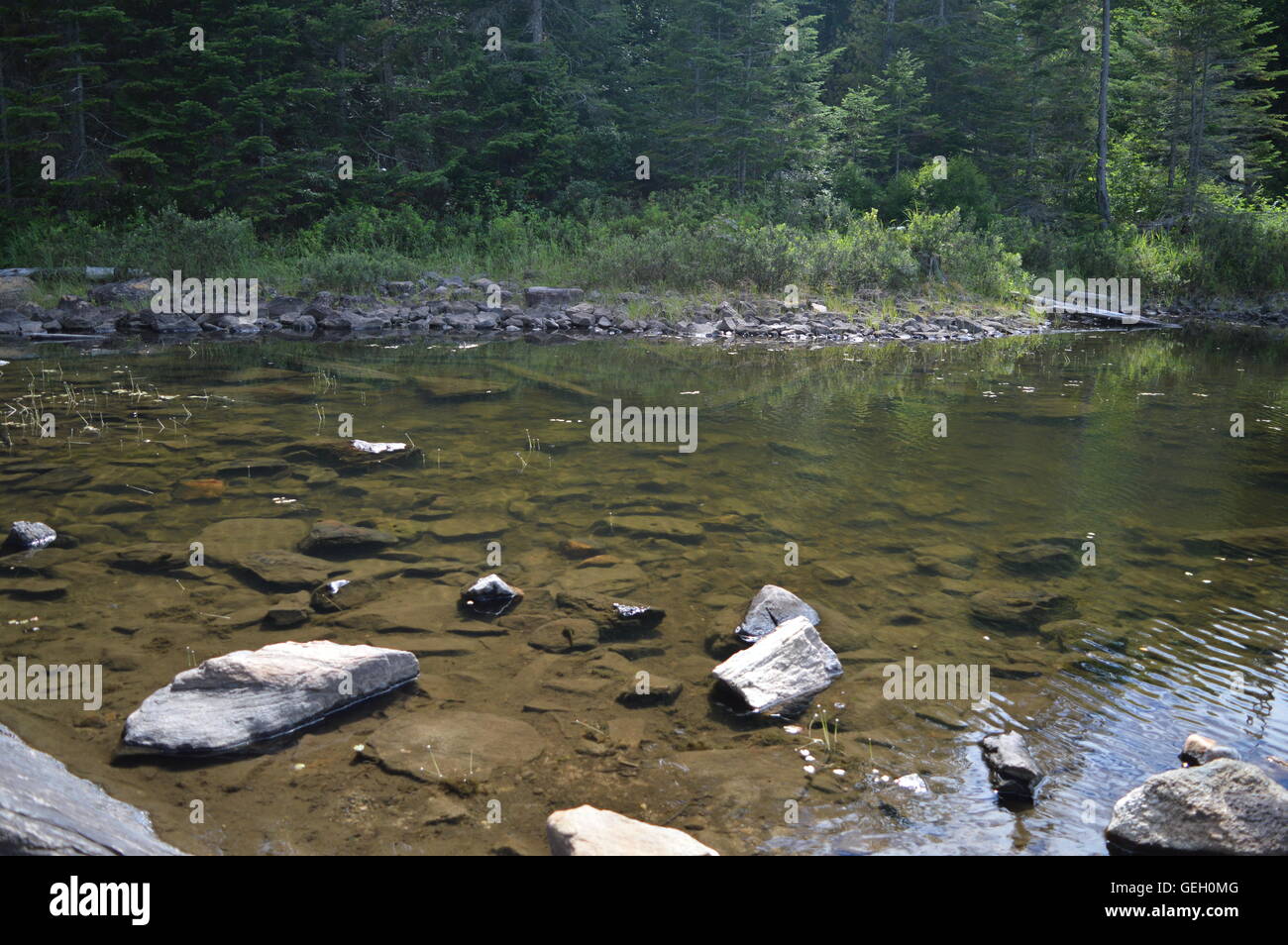 Drying of the lake hi-res stock photography and images - Alamy
