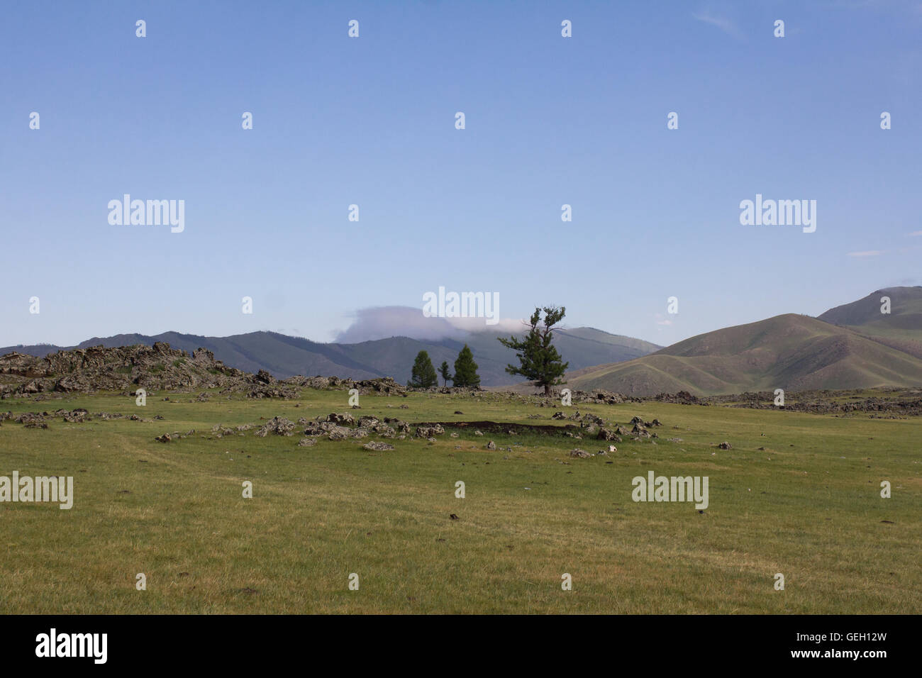 Steppe, trees in the distance, Central Asia, Mongolia Stock Photo - Alamy