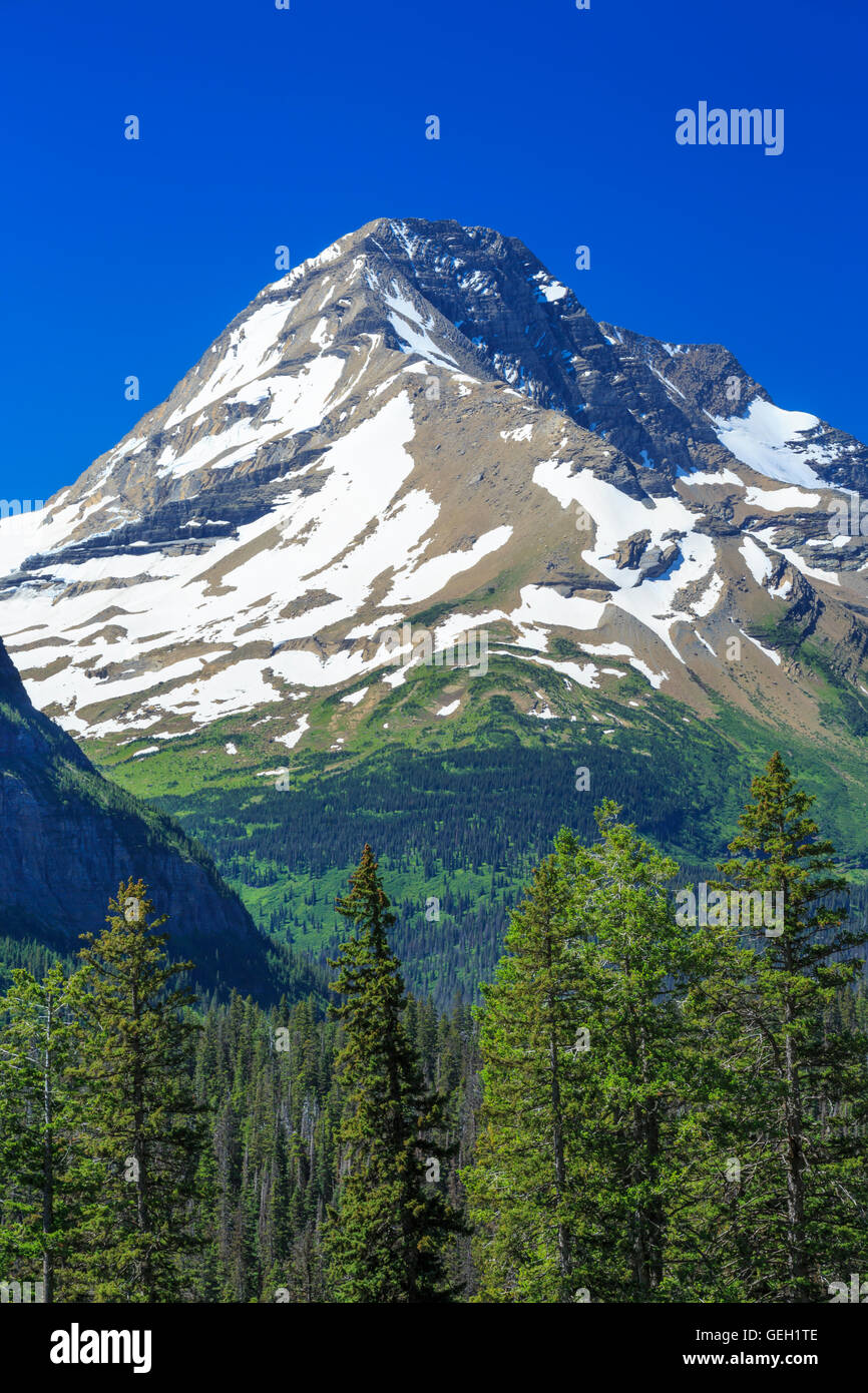 Climb Mount Jackson Glacier National Park at Kate Bernadette blog