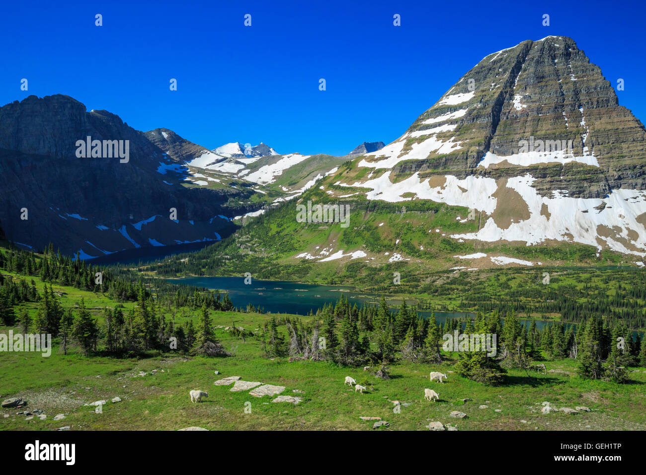 Goat lake hi-res stock photography and images - Alamy