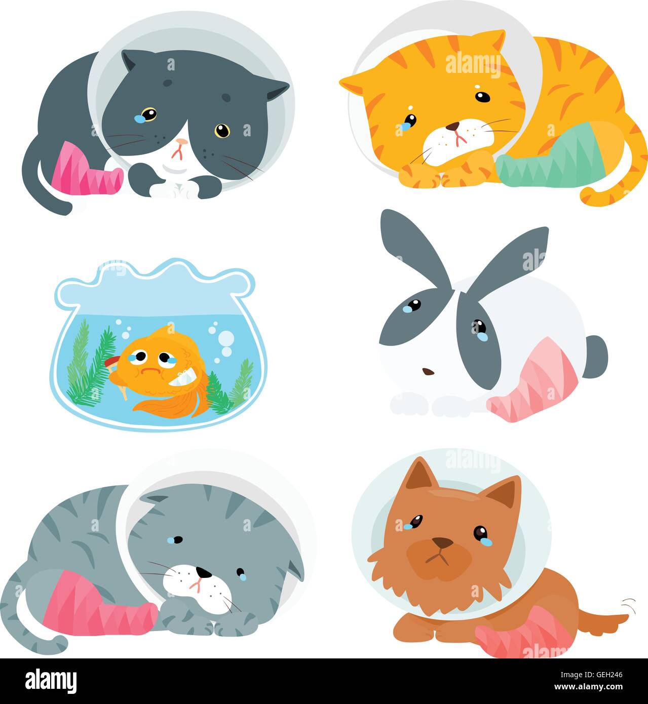 pity pet splinting cartoon vector set Stock Vector Image & Art - Alamy