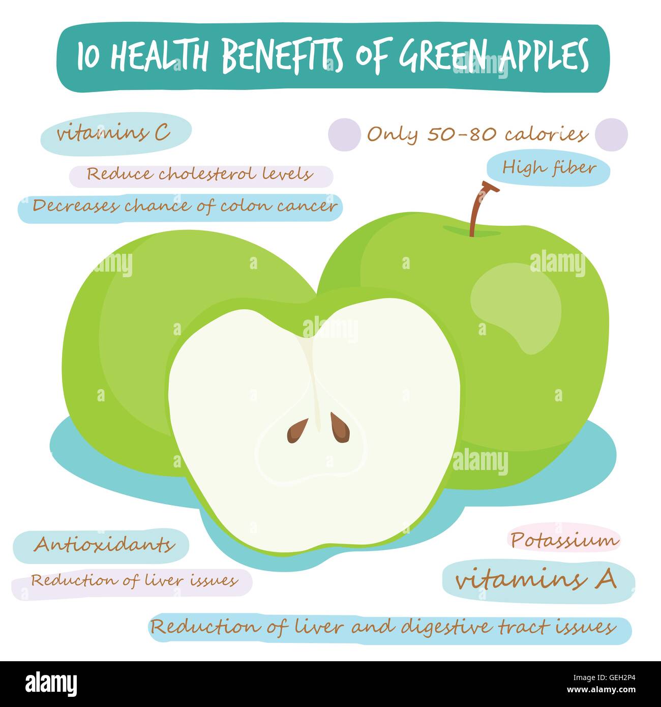 10 health benefits of green apple vector illustration Stock Vector ...
