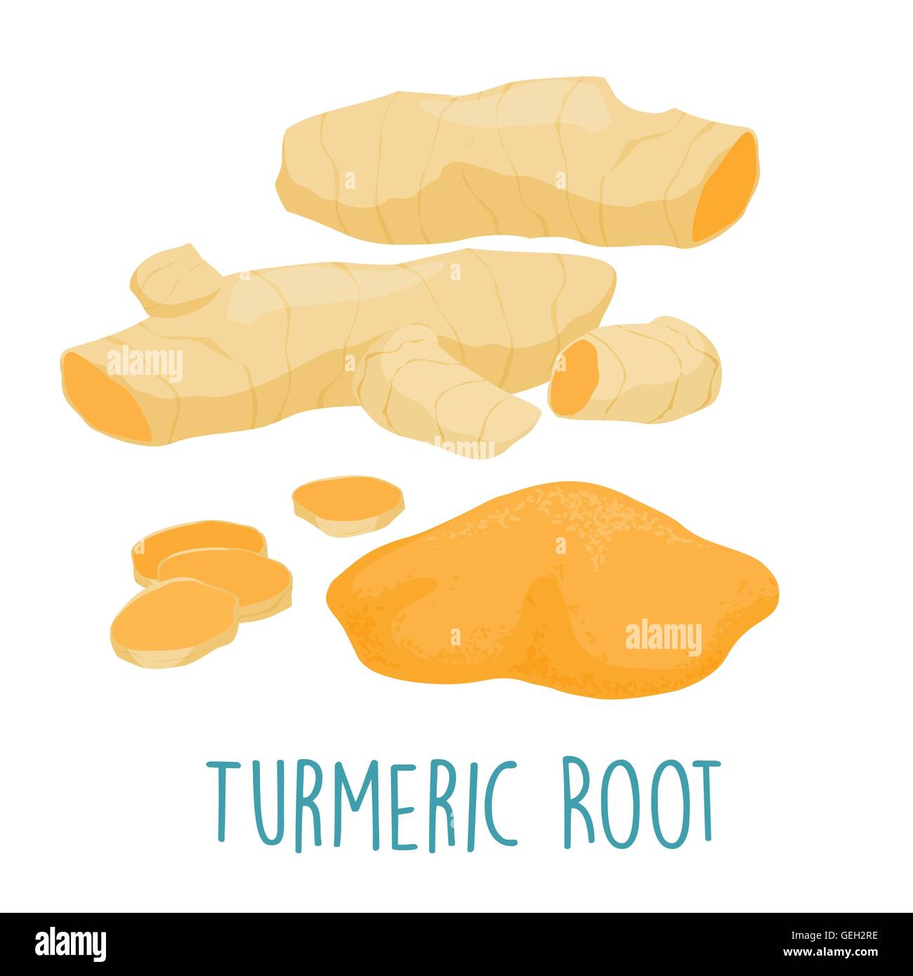 fresh turmeric root on white background vector illustration Stock ...