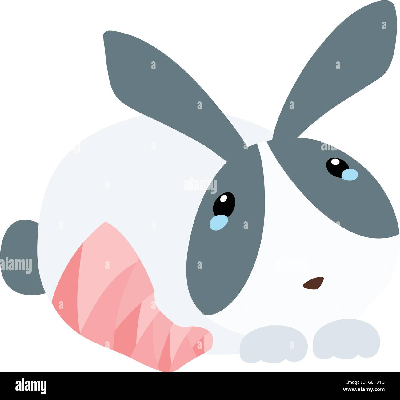 rabbit injury splinting leg vector illustration Stock Vector Image ...