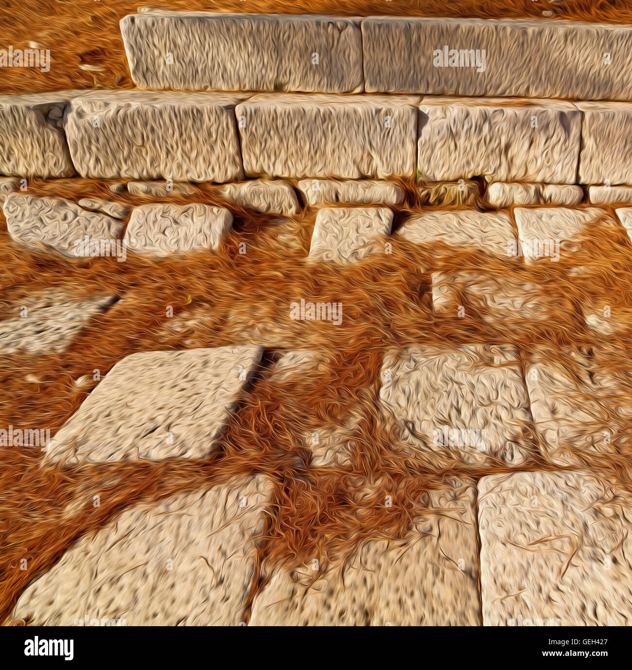 pine needles in arykanda antalya turkey asia and ruins Stock Photo - Alamy