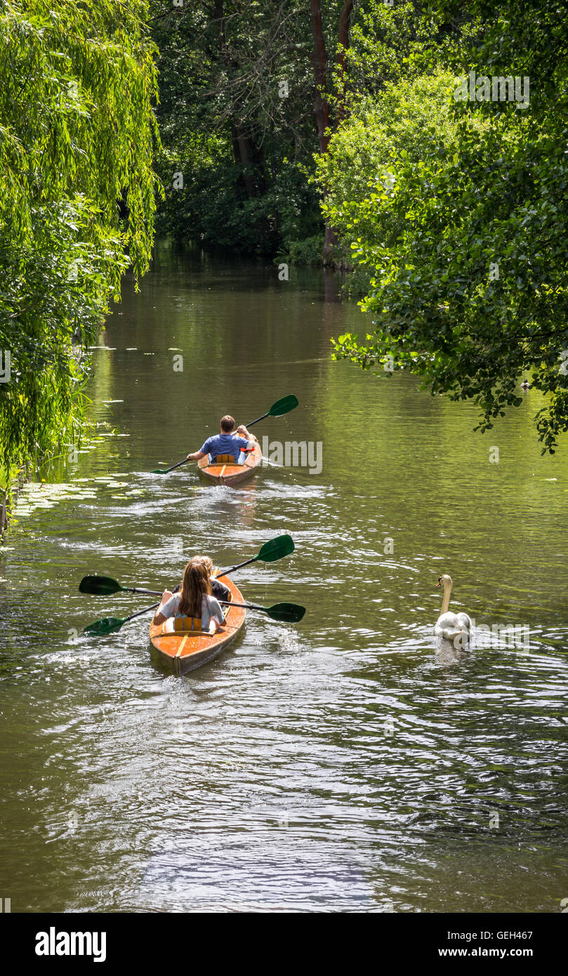 Spreewald tour hi-res stock photography and images - Alamy