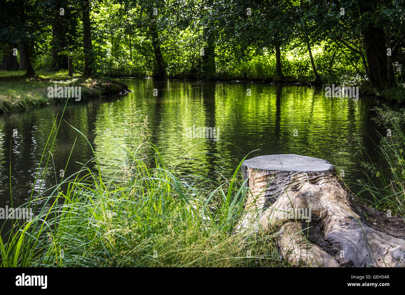 Spree forest landscape hi-res stock photography and images - Alamy