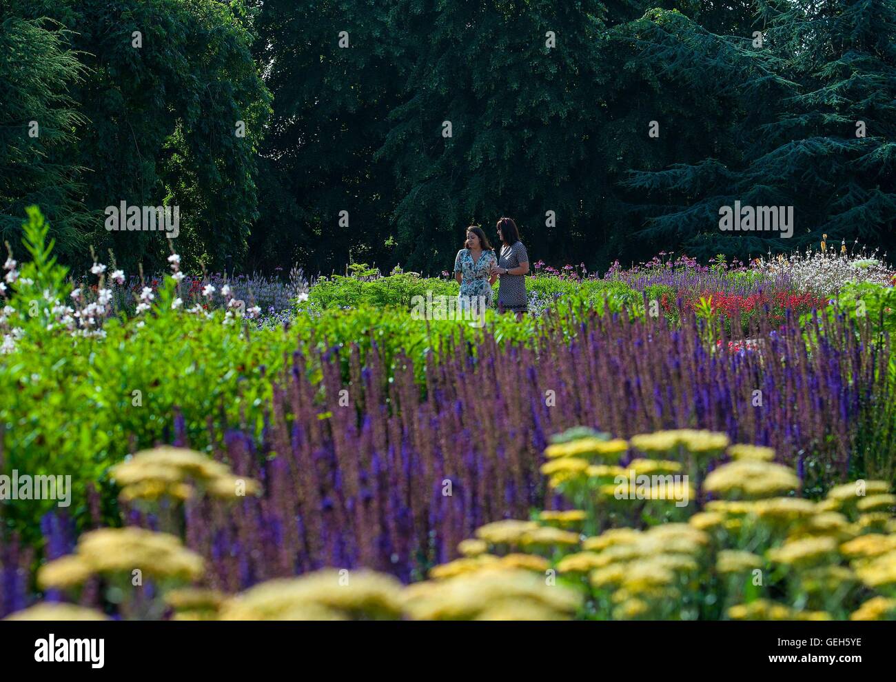 Staff walk through part great broad walk borders kew gardens hi-res ...