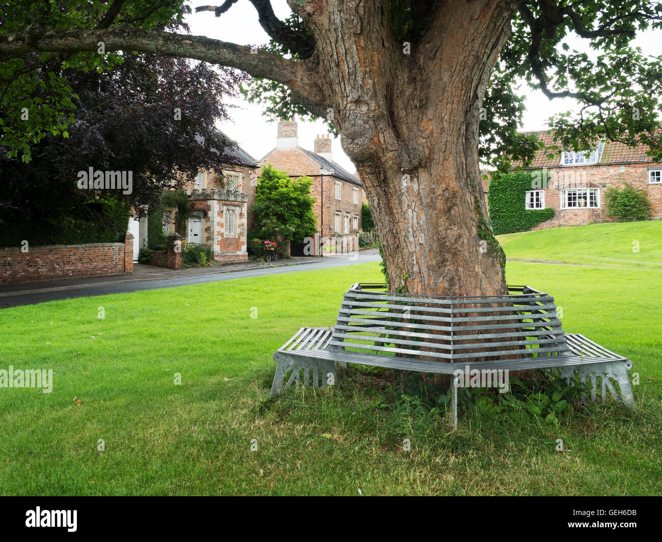 Metal bench around a tree hi-res stock photography and images - Alamy