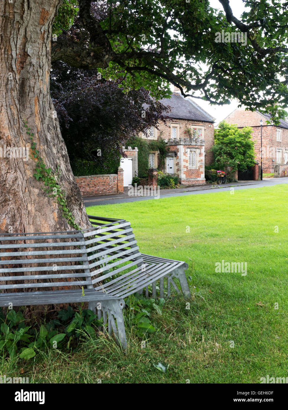 Metal bench around a tree hi-res stock photography and images - Alamy
