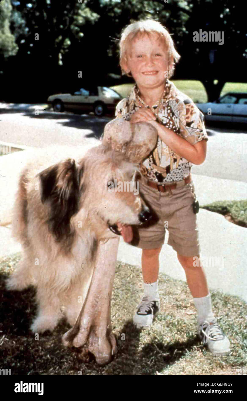 Dennis The Menace Movie Dog