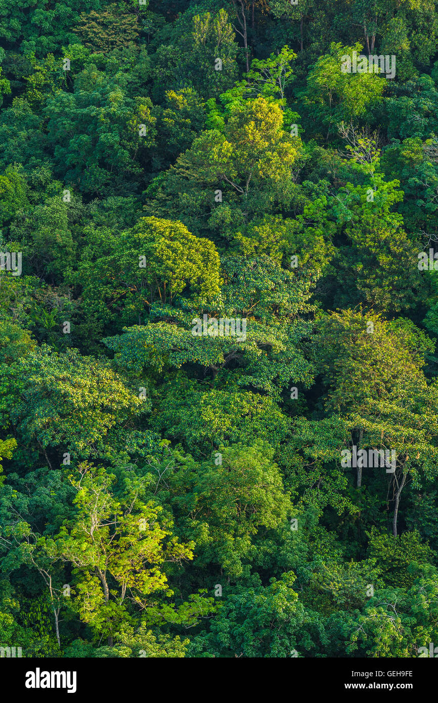 Shot 5 hi-res stock photography and images - Alamy