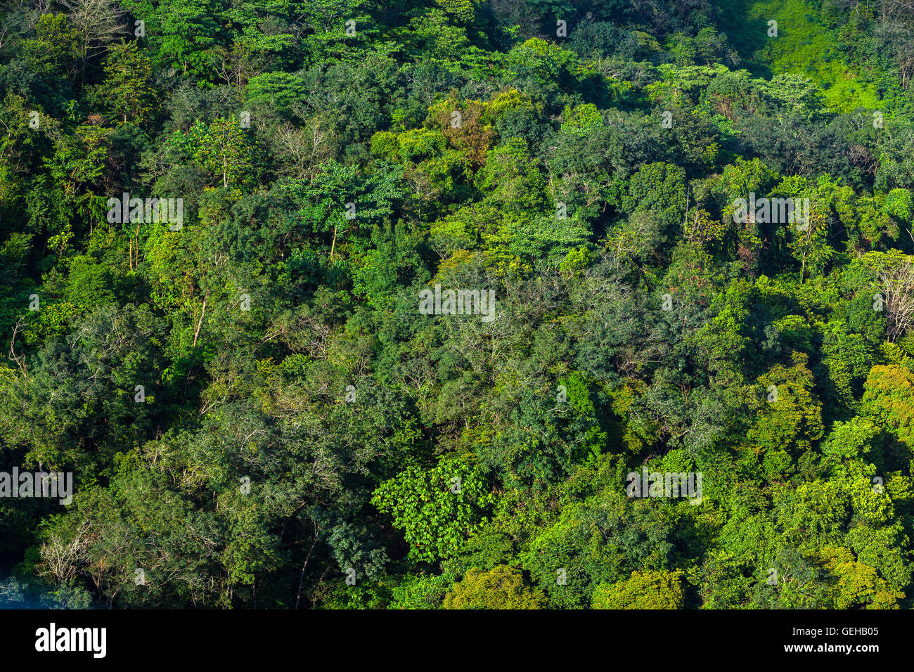 Tropical jungle aerial shot 24 Stock Photo - Alamy
