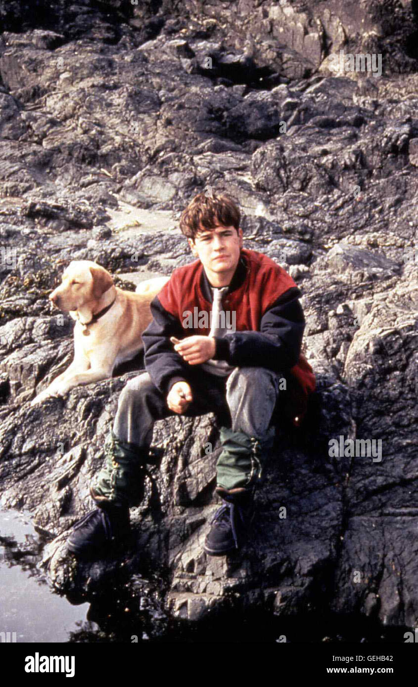 Jesse Bradford Dank Yellow ueberlebt Angus (Jesse Bradford) die ...