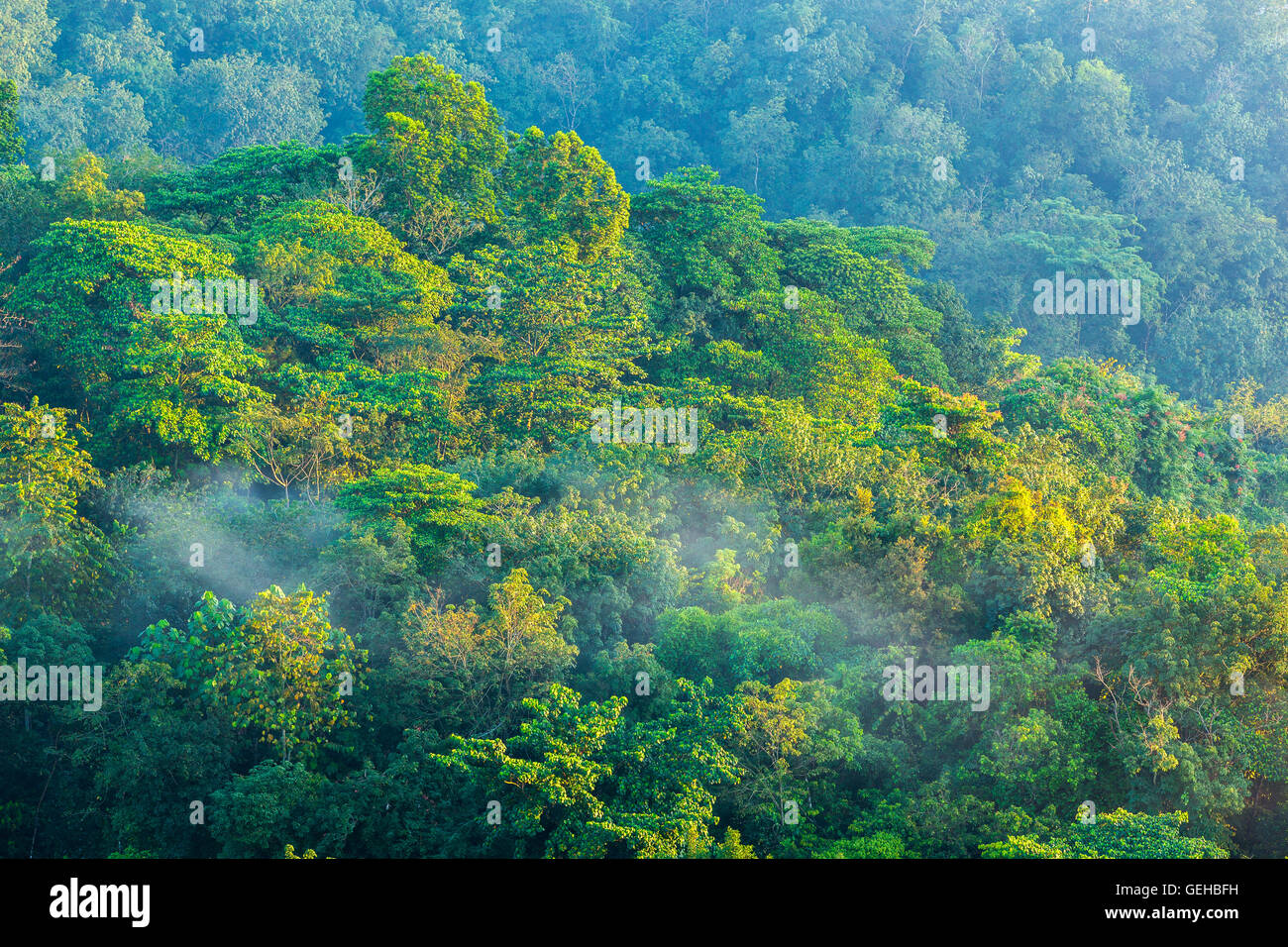 Aerial of tropical morning hi-res stock photography and images - Alamy