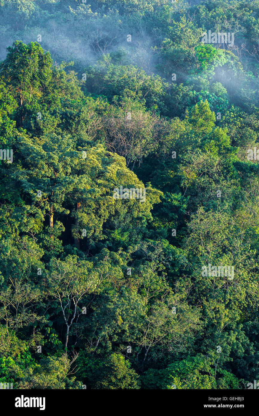 Aerial of tropical morning hi-res stock photography and images - Alamy