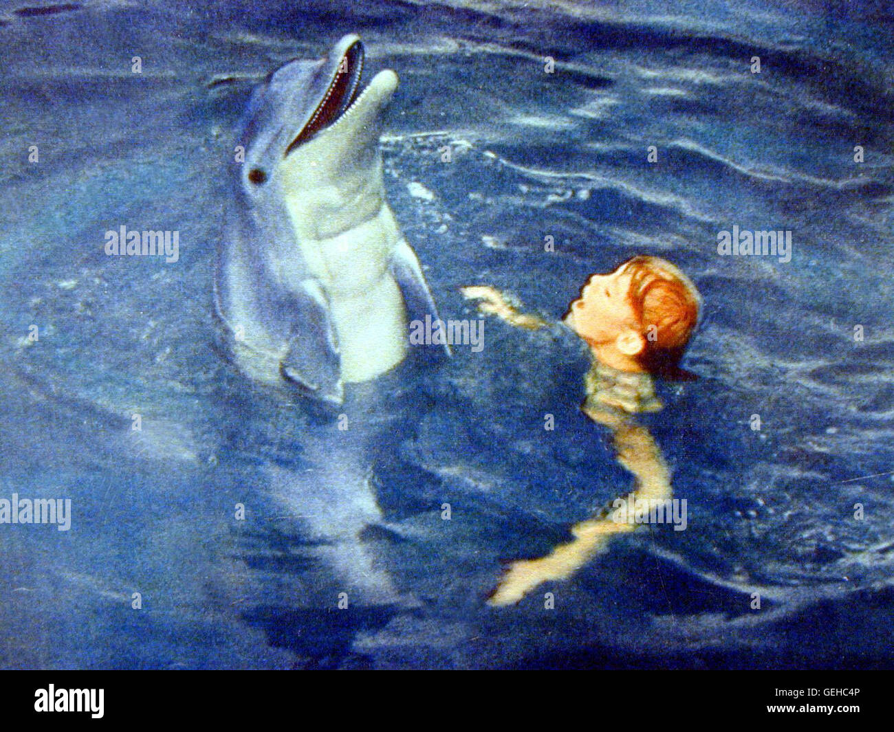 Luke Halpin Langsam gewinnt Sandy Ricks (Luke Halpin) das Vertrauen des ...