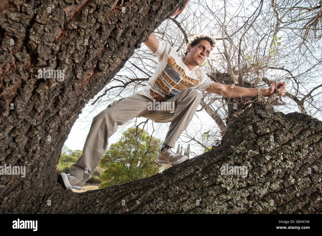 Man climbing a tree Stock Photo - Alamy