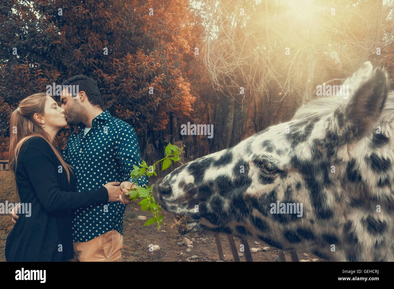 Kiss feeding hi-res stock photography and images - Alamy