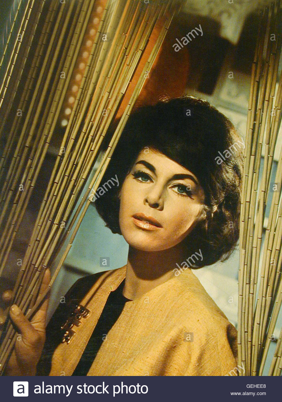 Marianne Koch Stock Photos & Marianne Koch Stock Images - Alamy