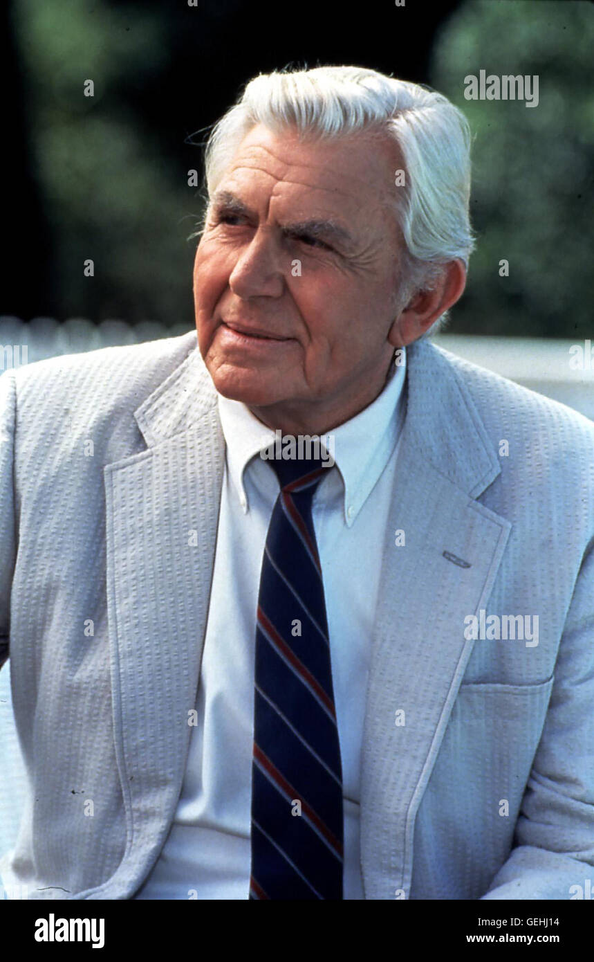 Andy Griffith Schliesslich findet Matlock (Andy Griffith) heraus, dass ...