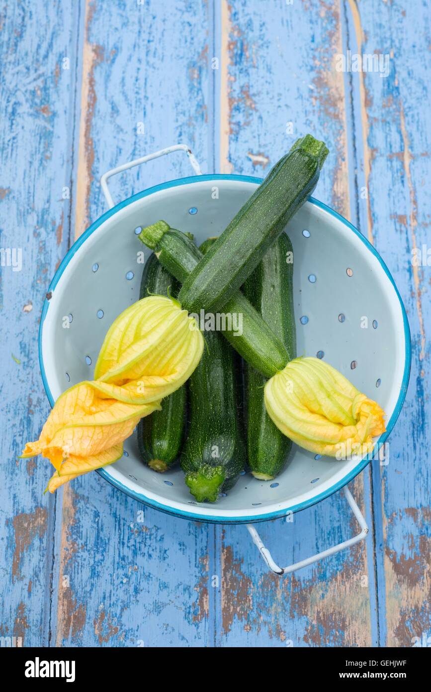 Baby Courgettes with flowers, variety 'defender' Stock Photo - Alamy