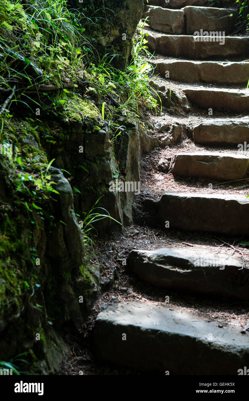 Stone steps on the side of a steep hill, carved and placed on the ...