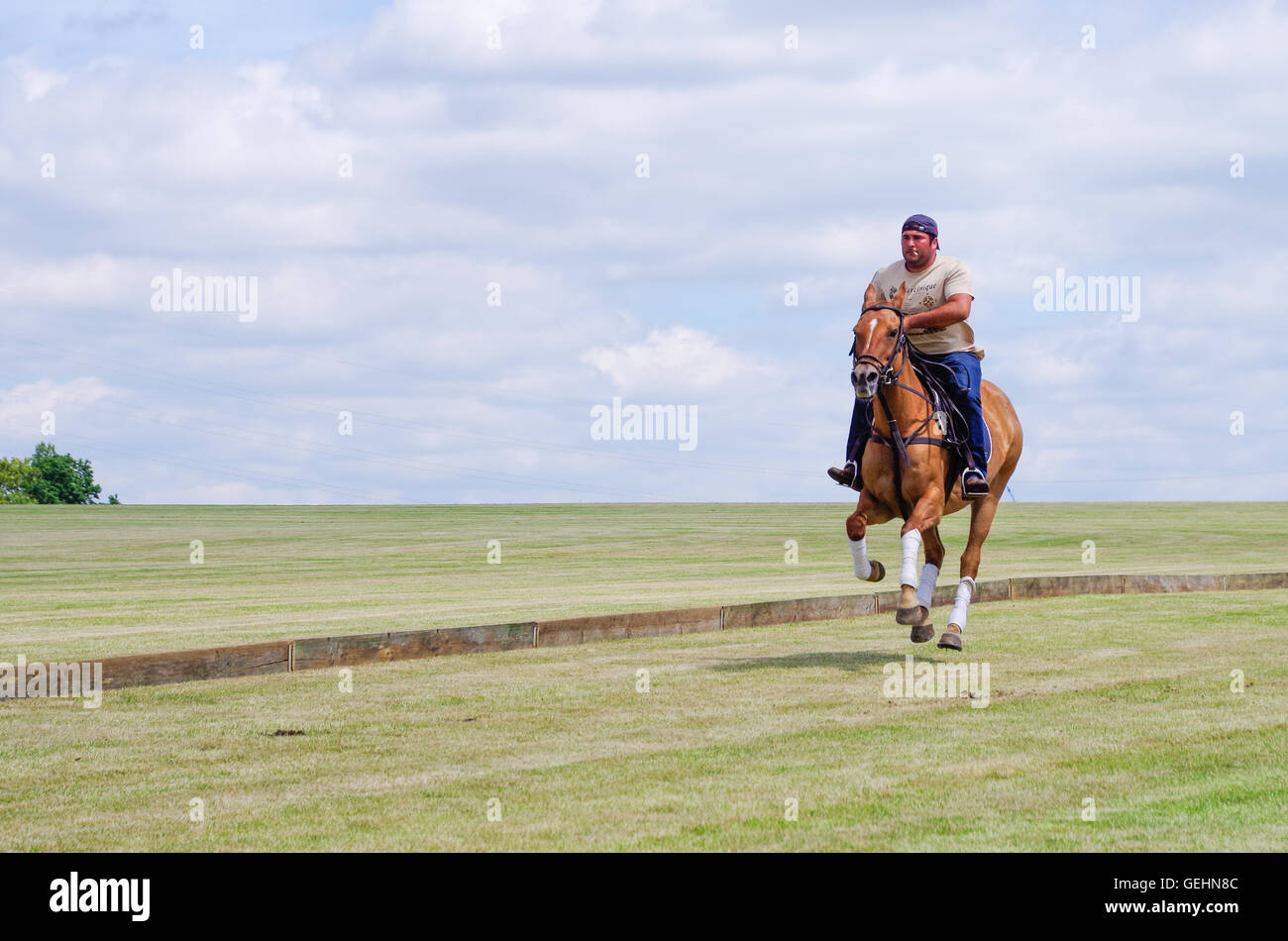 Male horseback rider galloping on a horse over vast grass fields Stock ...