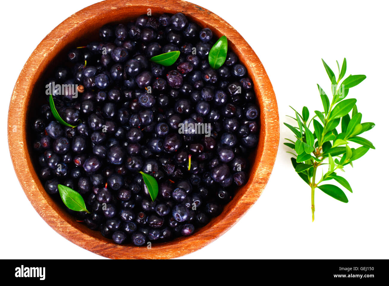 Fresh Juicy Blueberries Stock Photo Alamy