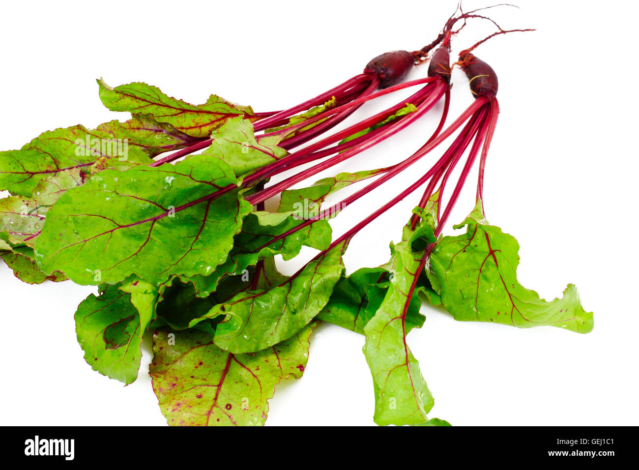 Fresh Young Beets Stock Photo - Alamy