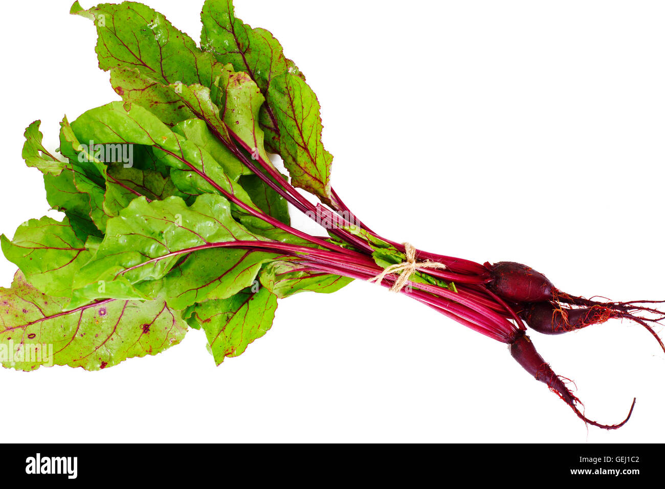 Fresh Young Beets Stock Photo - Alamy