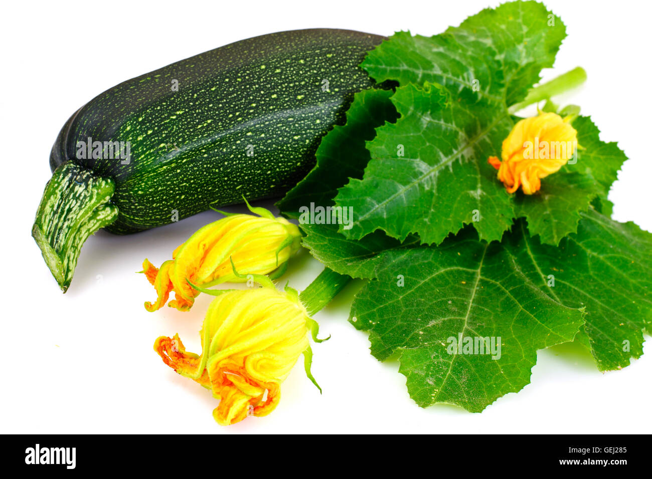 Fresh Green Zucchini with Leaves and Flowers Stock Photo - Alamy
