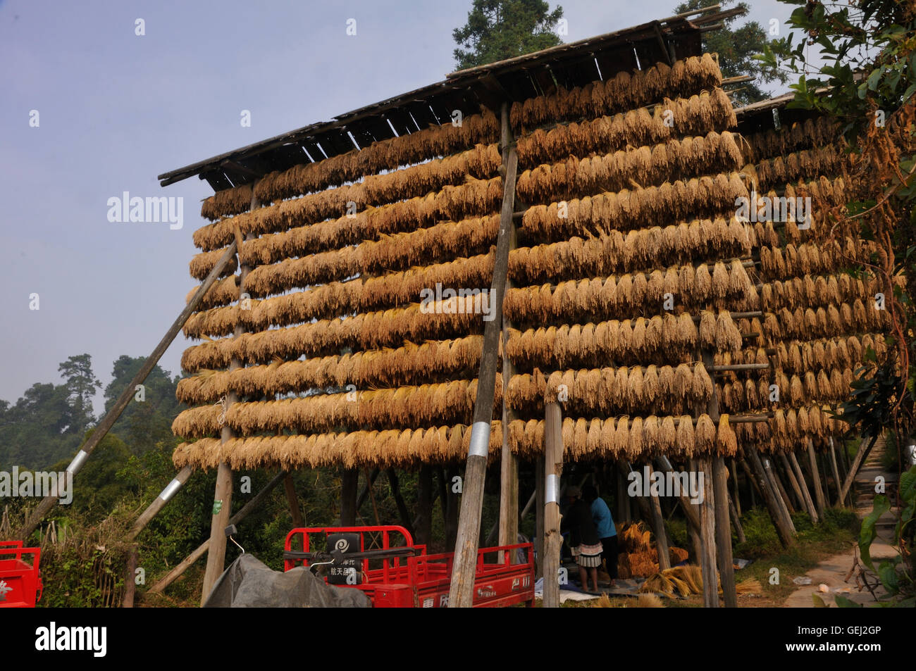 Agriculture china chinese drying hi-res stock photography and images ...