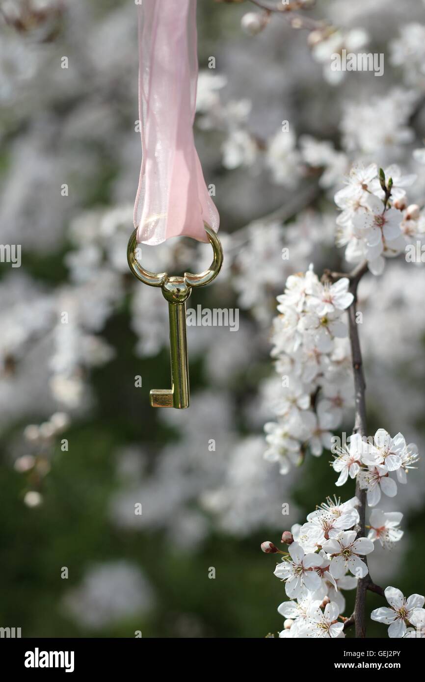 Old key with ribbon hi-res stock photography and images - Alamy