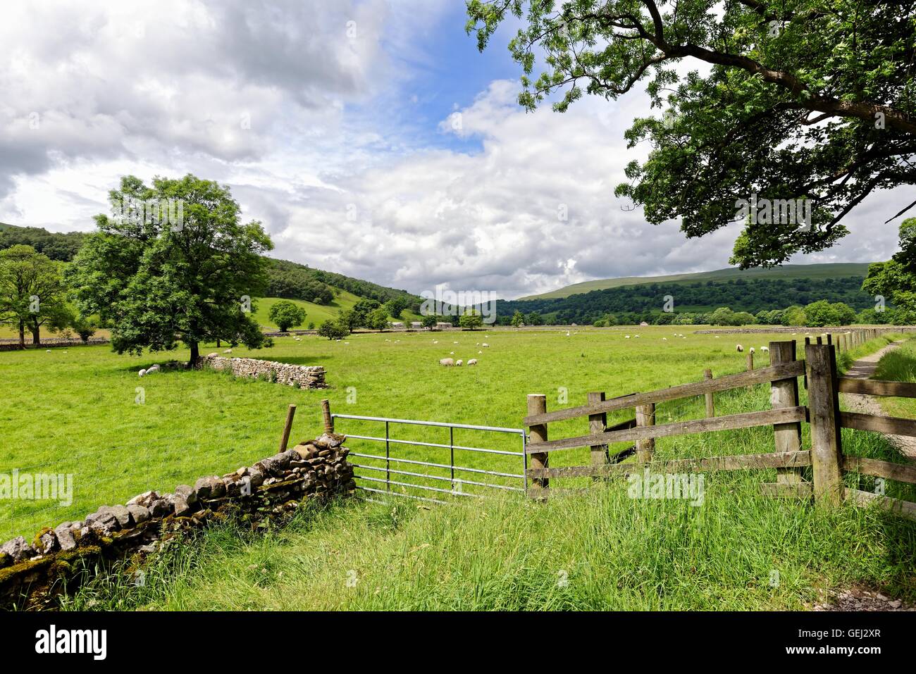 Wharfedale near Buckden Yorkshire UK Stock Photo - Alamy