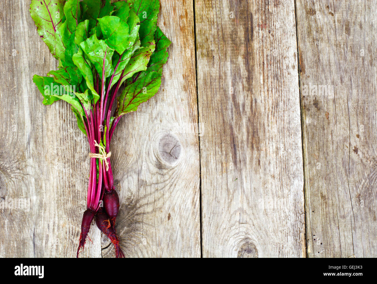 Fresh Young Beets Stock Photo - Alamy