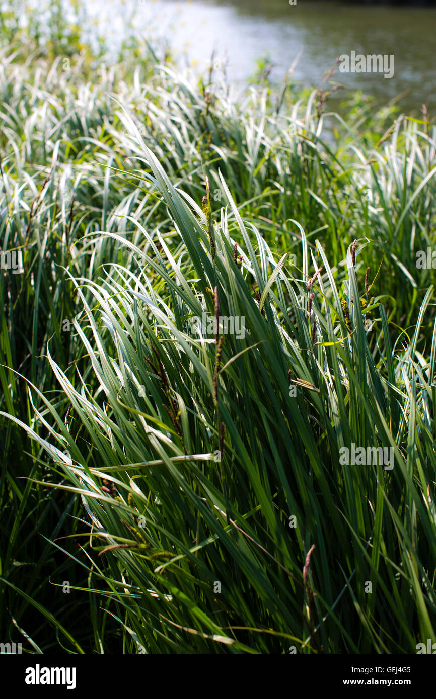 Bending edge hi-res stock photography and images - Alamy