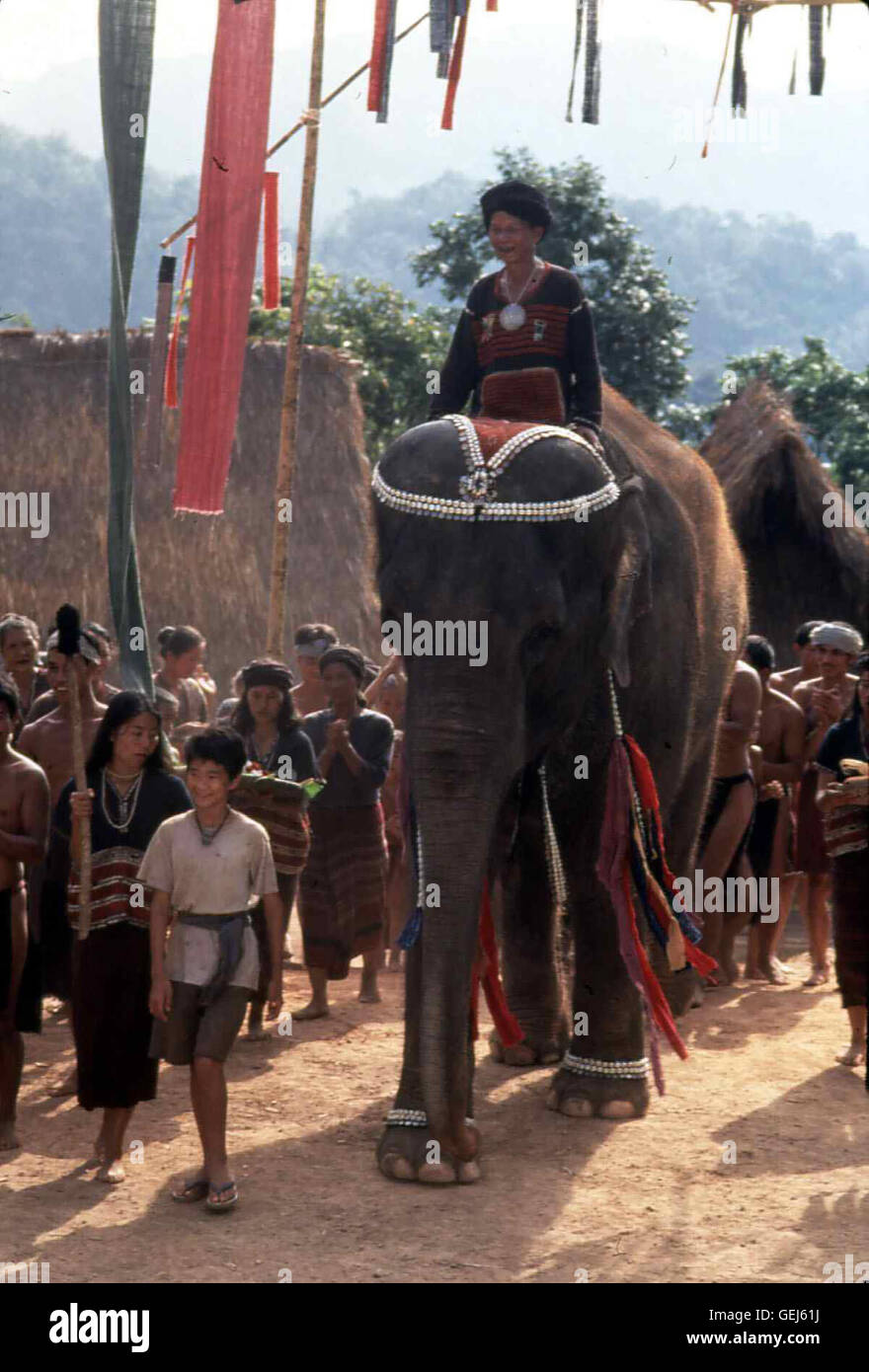 Szene *** Local Caption *** 1995, Operation Dumbo Drop, Operation Dumbo ...