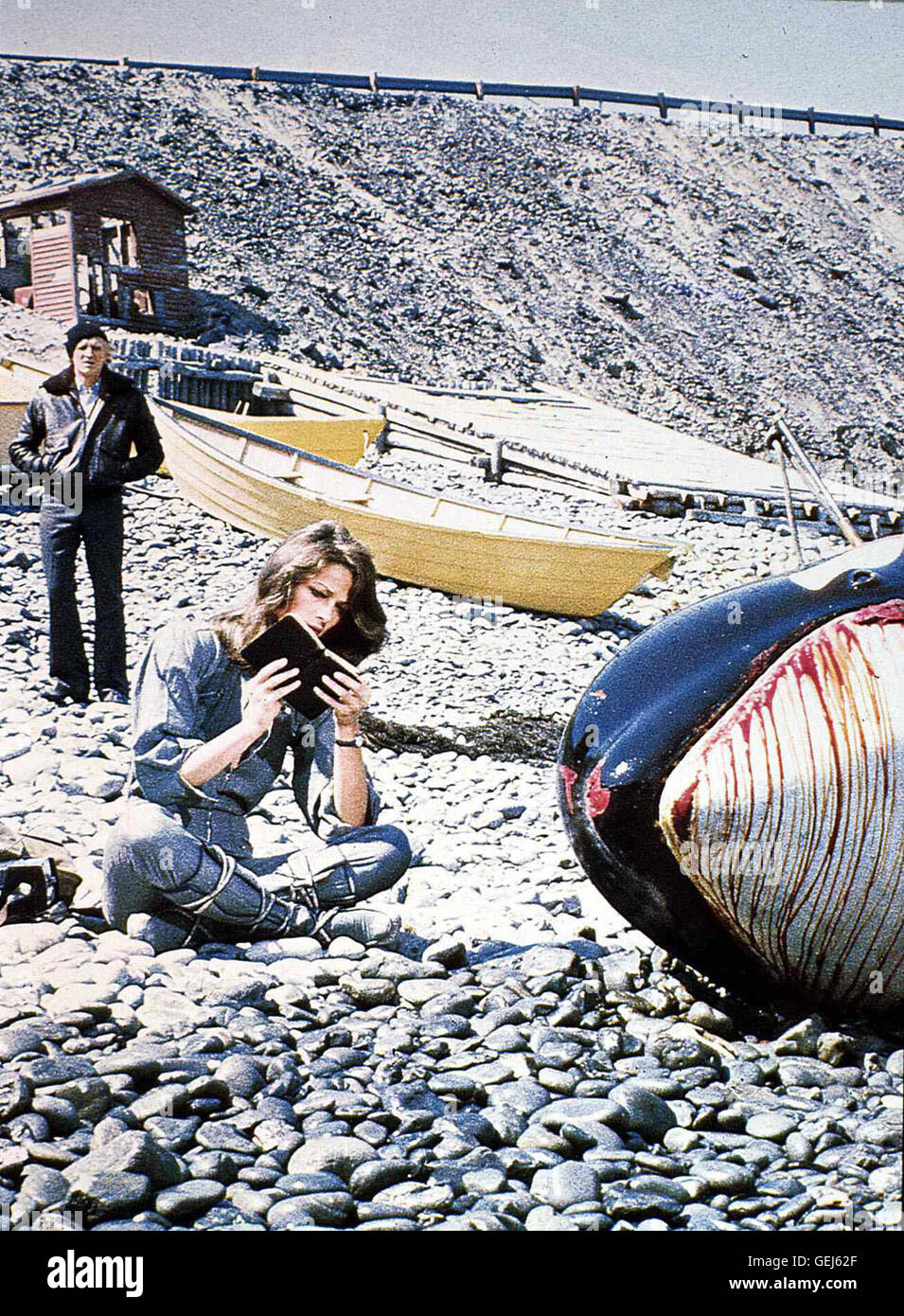 Orca killer whale rampling hi-res stock photography and images - Alamy