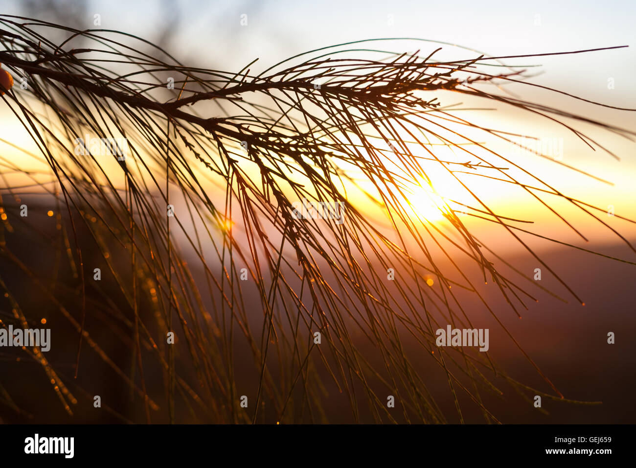 Rising sun picture hi-res stock photography and images - Alamy