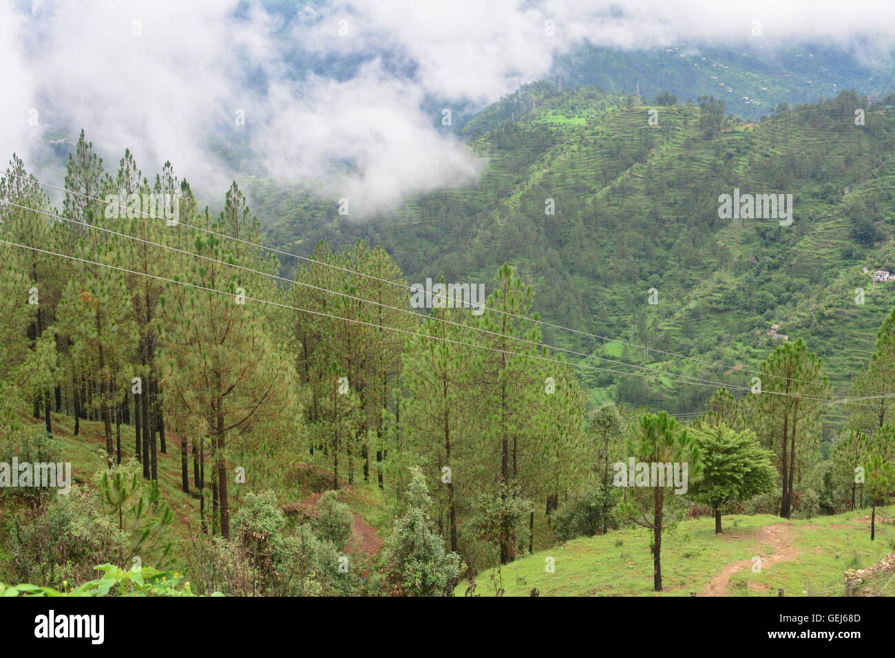 Valley of kashmir hi-res stock photography and images - Alamy