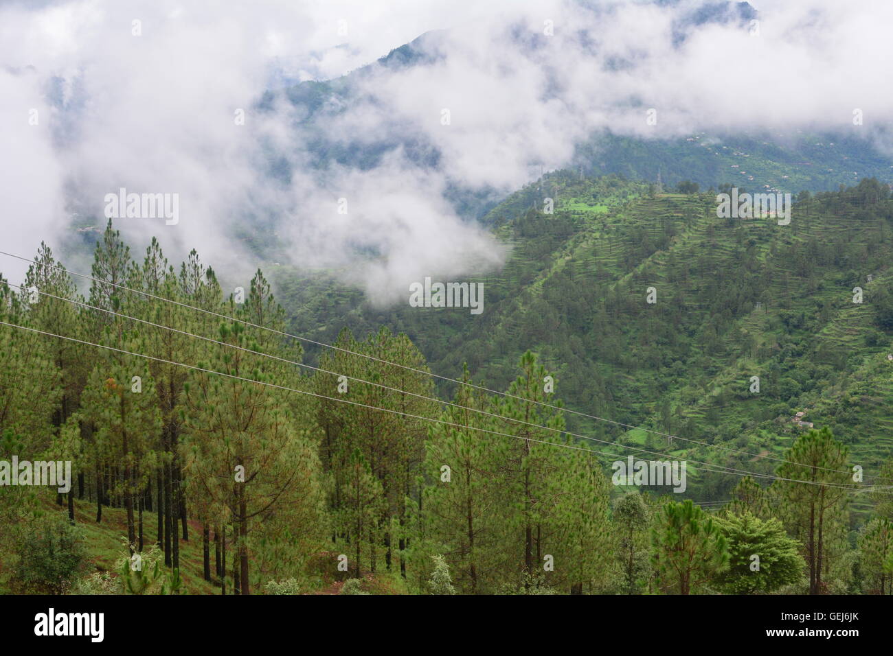 Valley of kashmir hi-res stock photography and images - Alamy
