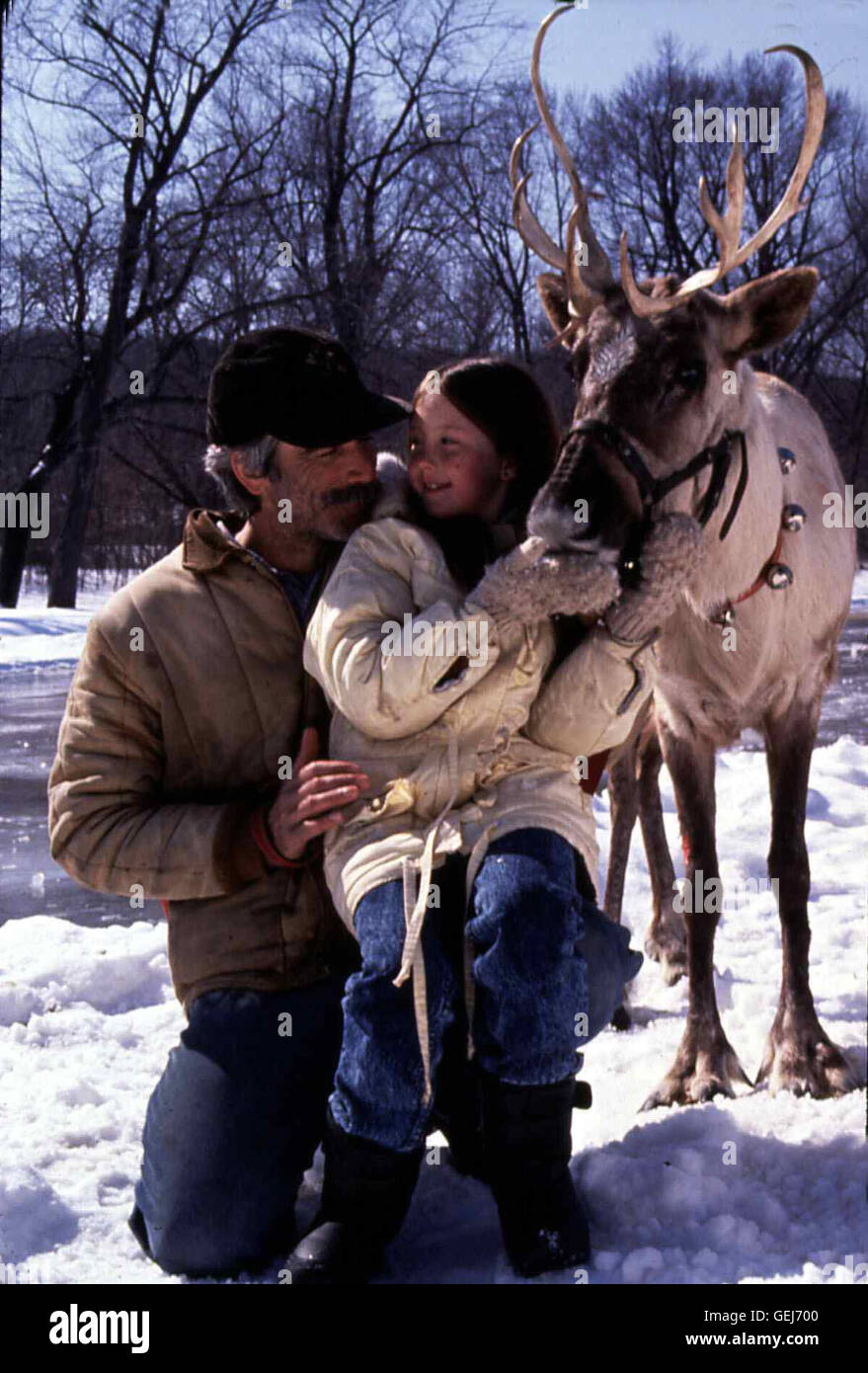 Jessica und Das Rentier High Resolution Stock Photography and Images ...