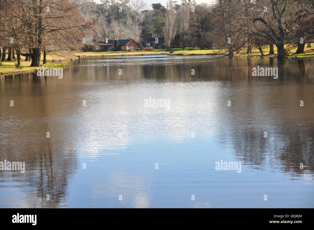 Sky and trees reflecting in pond hi-res stock photography and images ...