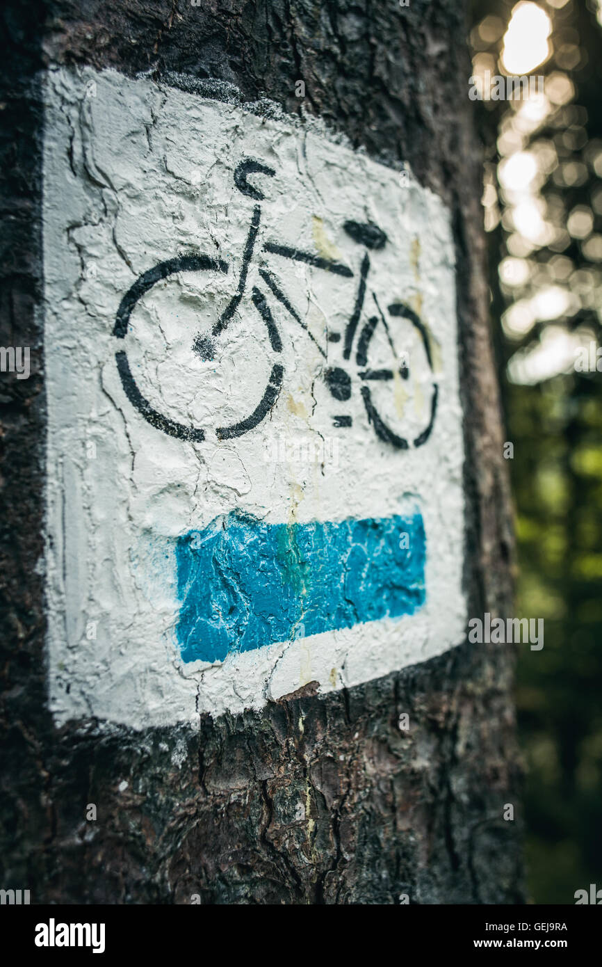 Bicycle trail signs painted on a tree in the forest Stock Photo - Alamy
