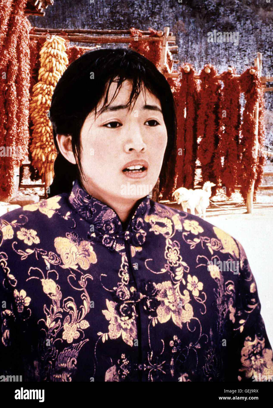Gong Li Qui Ju (Gong Li) ist eine junge, hochschwangere Baeuerin aus ...