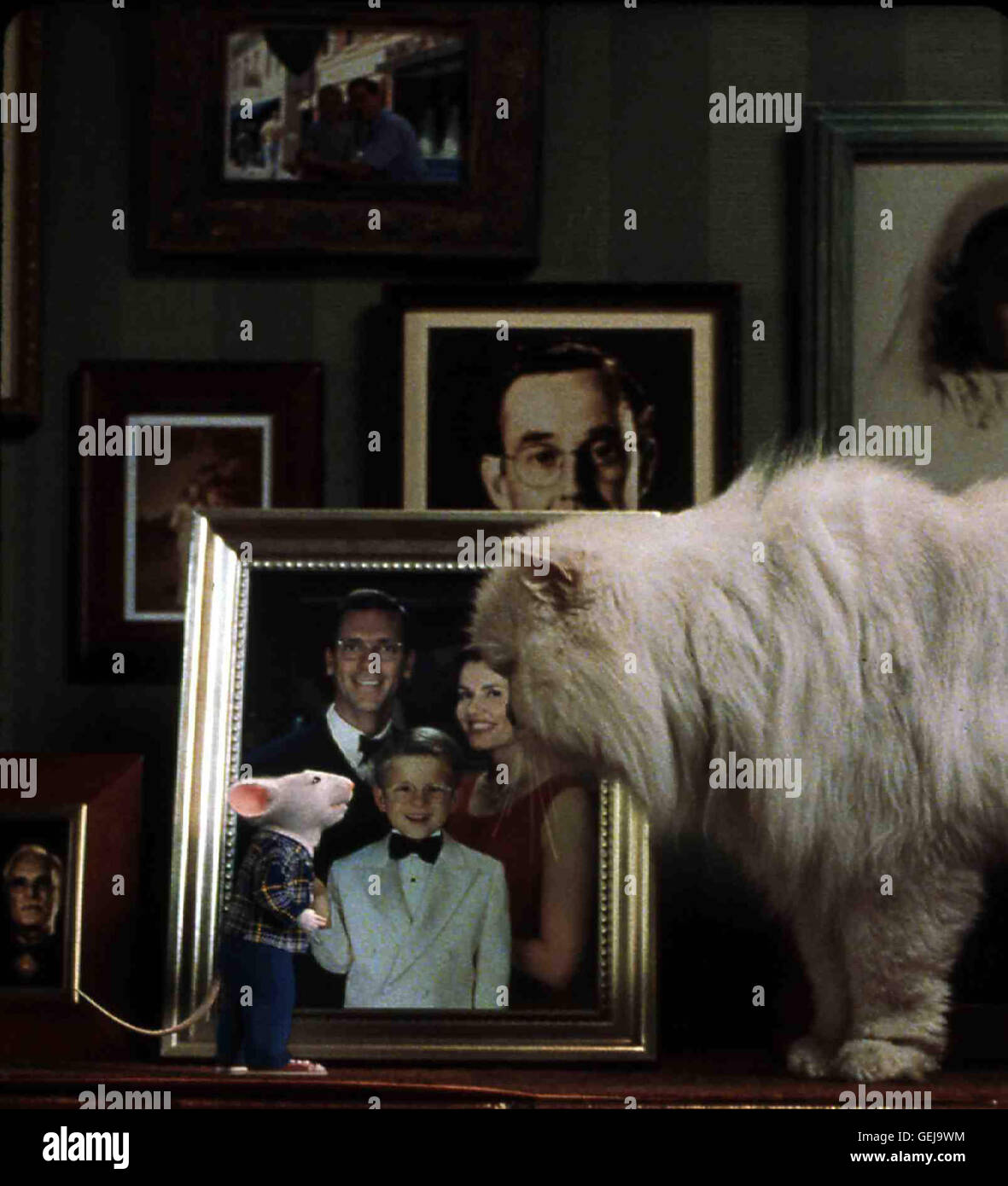 Snowbell *** Local Caption *** 1999, Stuart Little, Stuart Little Stock ...