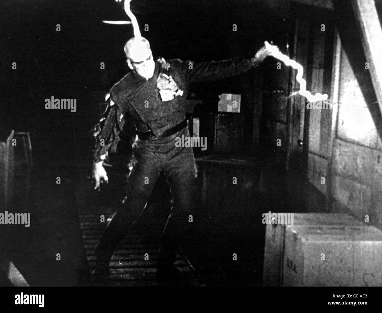 James Arness Die Wissenschaftler versuchen "das Ding" (James Arness) zu ...